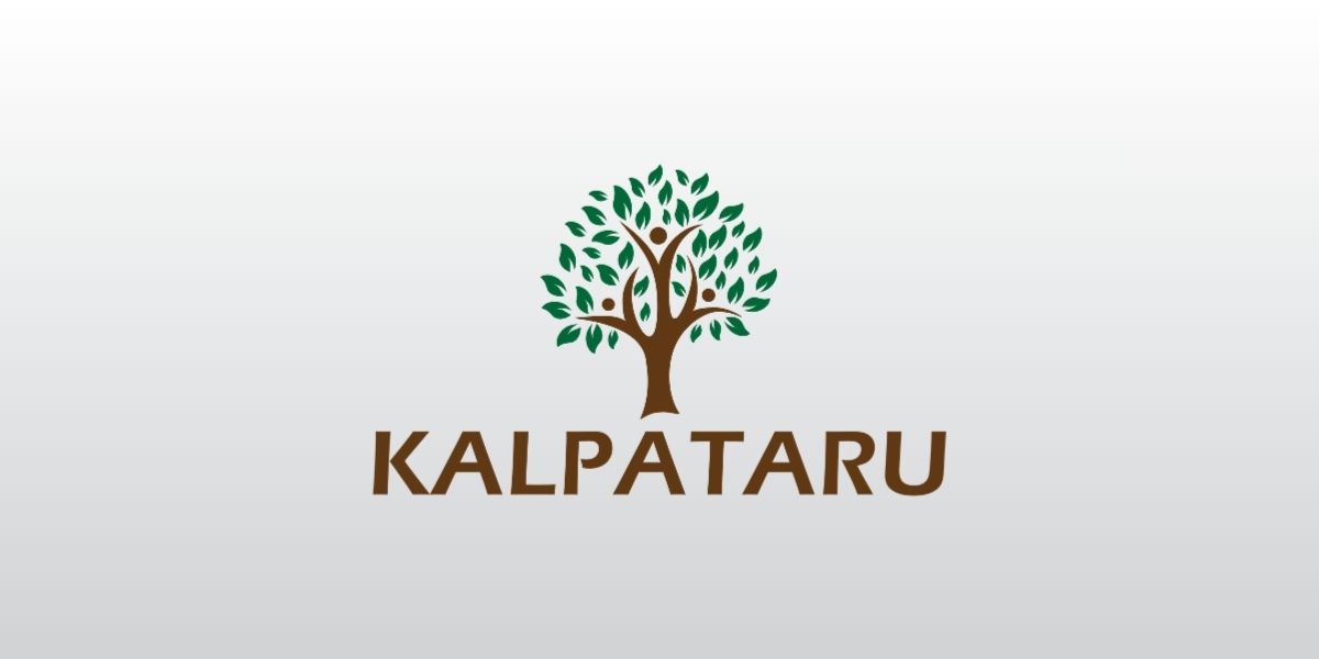 Branding for Paper Manufacturing Companies | MV